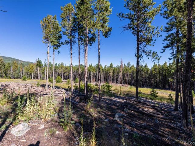 30894 Forest Shadow Trail