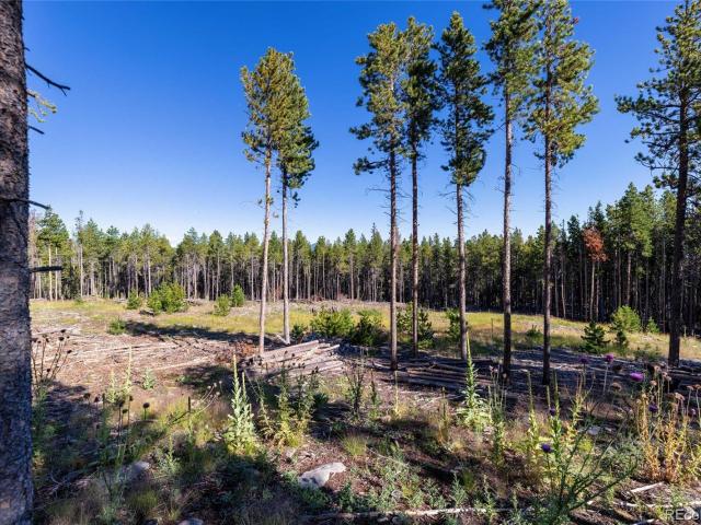 30894 Forest Shadow Trl, Conifer, CO 80433 | MLS #7851 | Compass