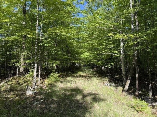 30806 E Jakes Dr, Drummond Island, MI 49726