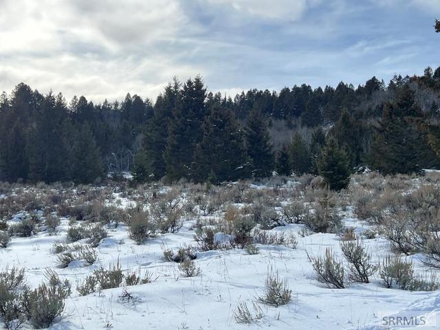 3080 Grandview Dr, Tetonia, ID 83452 | MLS #2181
