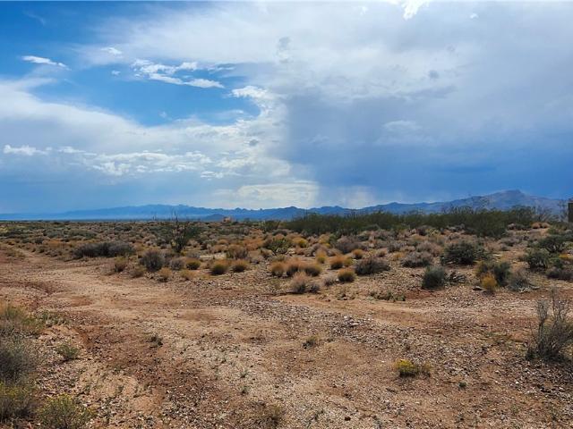 308 19 N Aruwimi Dr, Chloride, AZ 86431 | MLS #032988 | Compass