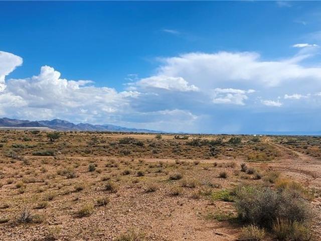 308 19 N Aruwimi Dr, Chloride, AZ 86431