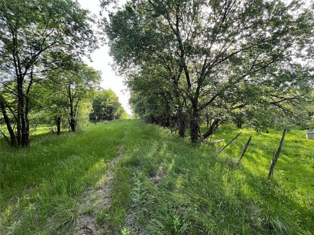308.64 ACRES Lcr 208A