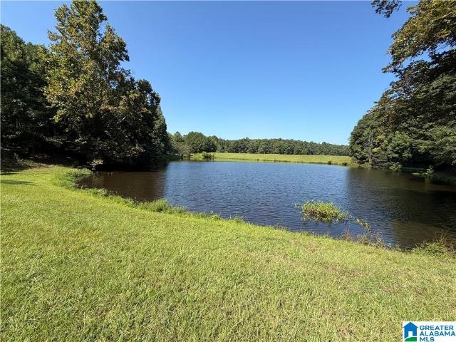 308 Carriage Lane # 18 acres