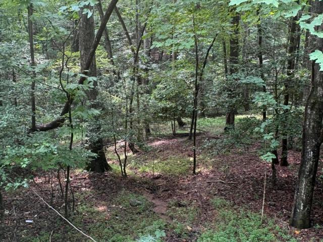 308 Creekside Trail