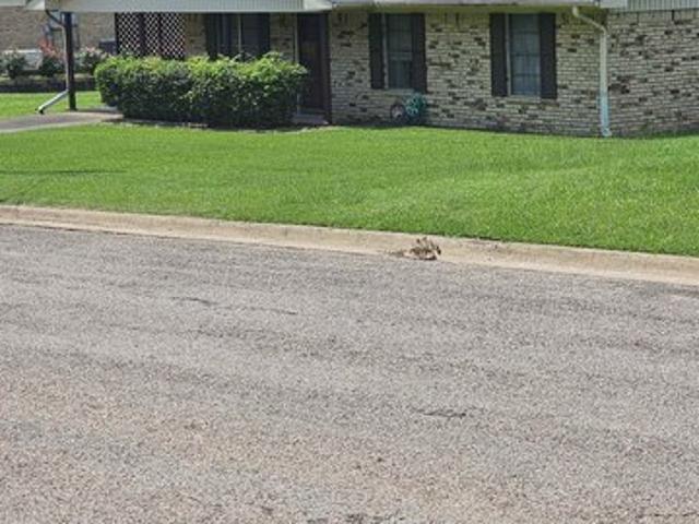 308 Bounds St, Carthage, TX 75633