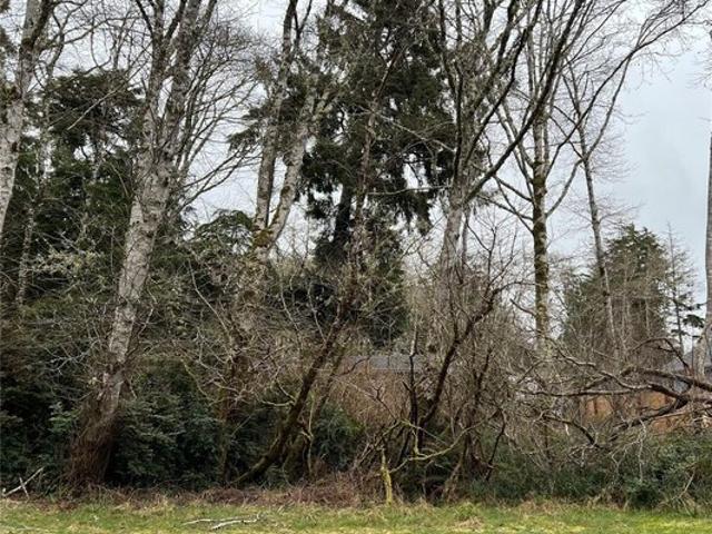 308 Lake View Loop NE Lot 33, Ocean Shores, WA 98569