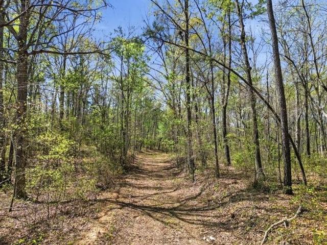 3094 Flat Bottom Rd Lot 3, Ball Ground, GA 30107