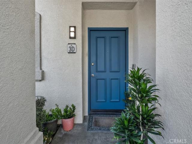 30902 Clubhouse Drive 3D