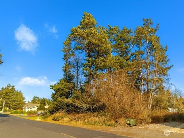 30904 M Pl Lot 34, Ocean Park, WA 98640