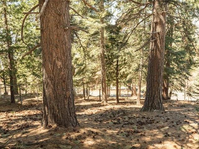 30908 Glen Oak Dr, Running Springs, CA 92382