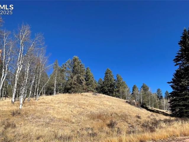 3090 N Mountain Estates Rd, Florissant, CO 80816 | MLS #2288