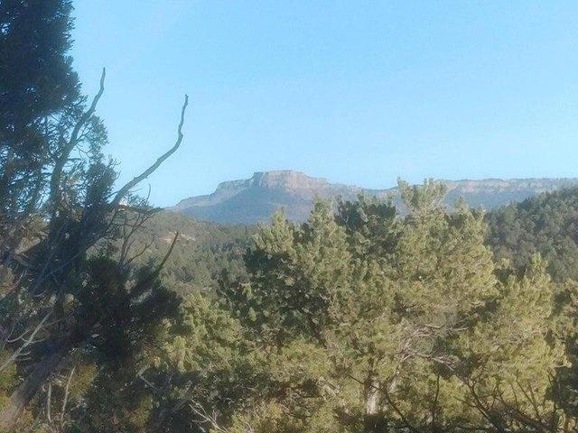 30910 Pavo Canyon Trl Lots 36 & 3, Trinidad, CO 81082