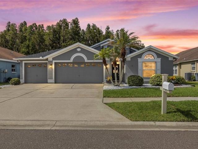 30923 Iverson Dr, Wesley Chapel, FL 33543