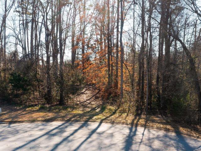 309 Chafford Ct, Simpsonville, SC 29681 | MLS #1580 | Compass