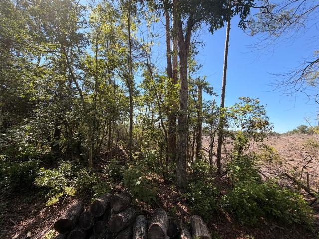 309 Knox Creek Road