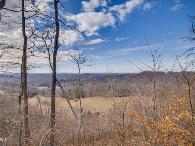 309 Holston Mountain Road