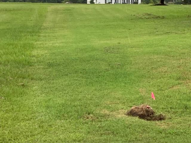 309 Schooner Landing Drive