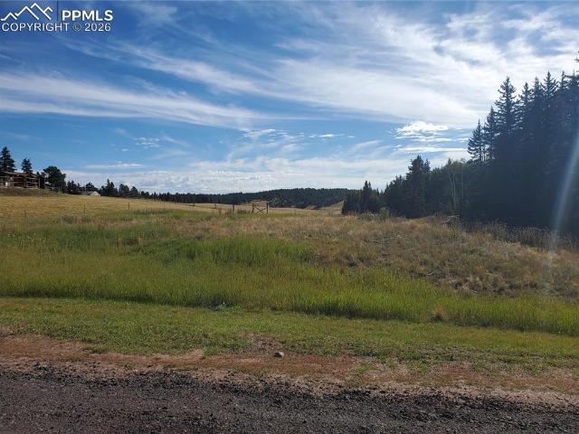 309 Pinaceae Heights, Divide, CO 80814 | MLS #9350 | Compass