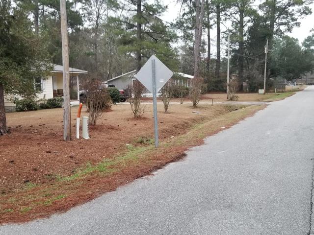309 Pine Needle Road