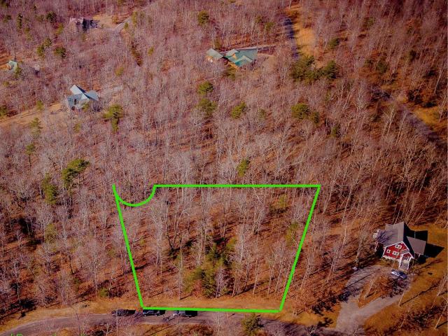 309 Tree House Trail