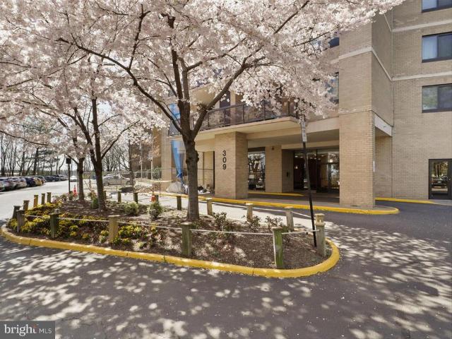 309 Yoakum Parkway # 1002