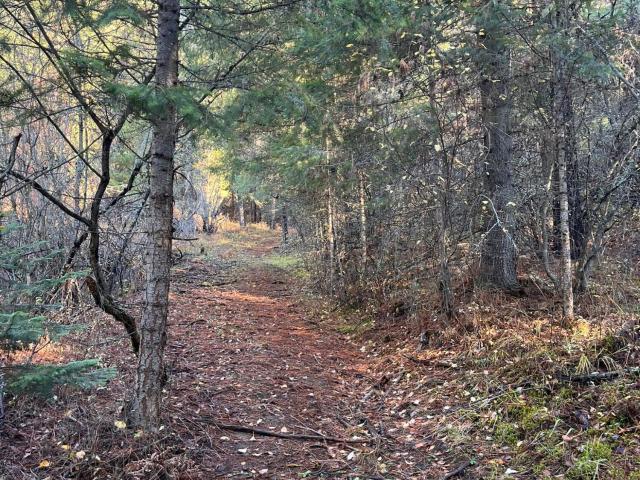 30.91 acs French Gulch Rd, Pinehurst, ID 83850 | MLS #25 10