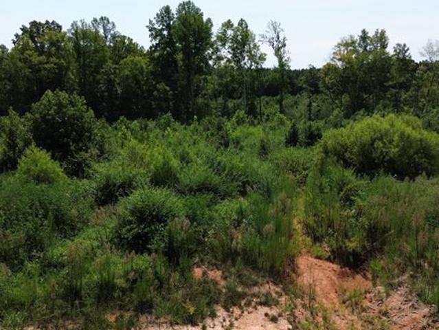 30 Tillery Dr, Louisburg, NC 27549