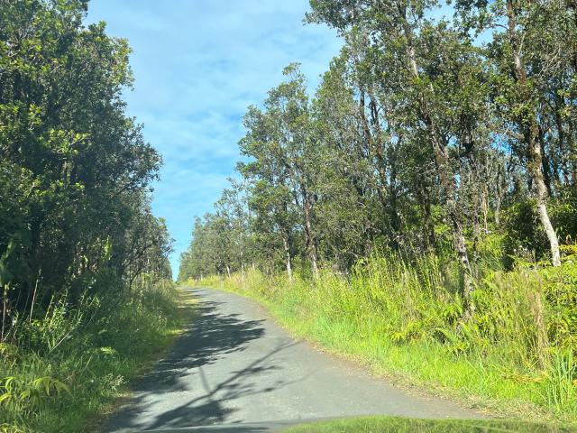 30 Wailele St, Mountain View, HI 96771 | MLS #723296