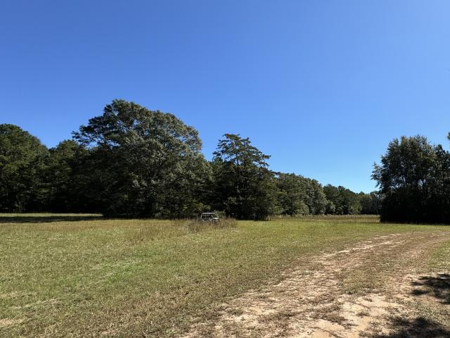 30 ac W Ellis, Griffin, GA 30223 | MLS #10722 | Compass