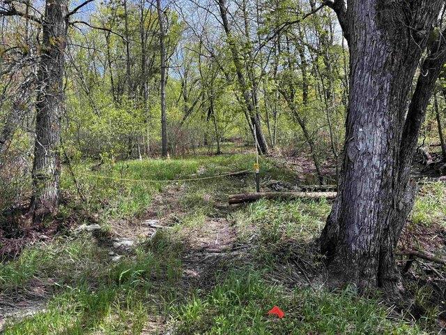 30 Acres 6th Ave Lot 0, New Lisbon, WI 53950