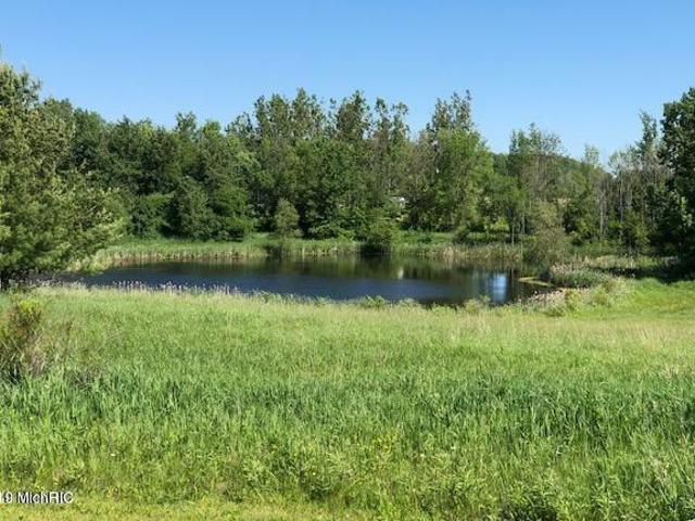 30 Acres 9 Mile Rd, Reed City, MI 49677