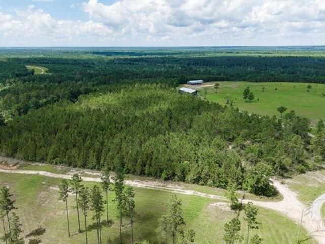 30 Acres Treetop Ridge Dr, Pace, FL 32571