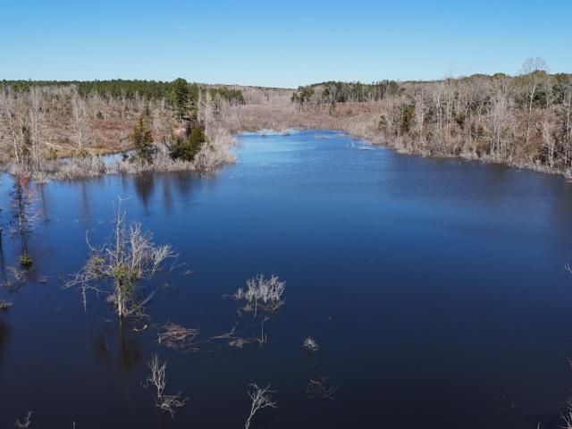 30 Acres Ammons Pond Road