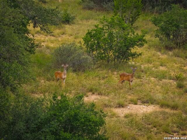 30 ACRES +/ Peaceful Valley Rd