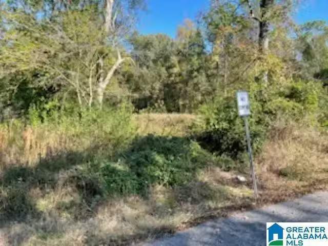 30 BANNERMAN RD # LOTS, BESSEMER, AL 35022 Vacant Land For Sal.