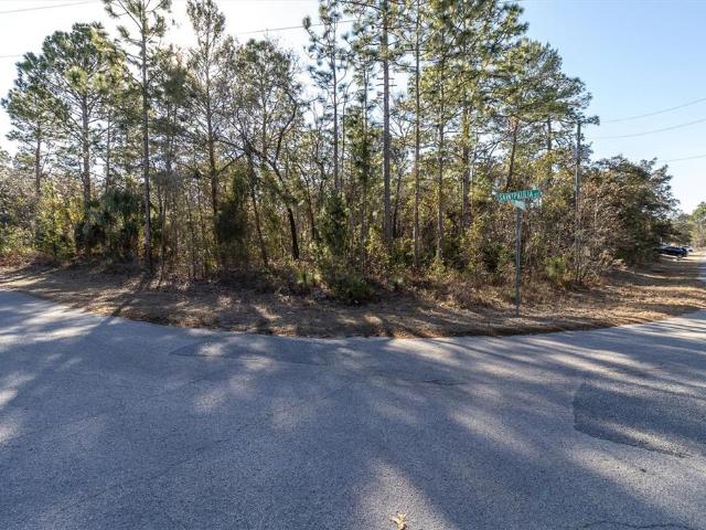 30 Bells of Ireland Ct, Homosassa, FL 34446 | MLS #TB8473