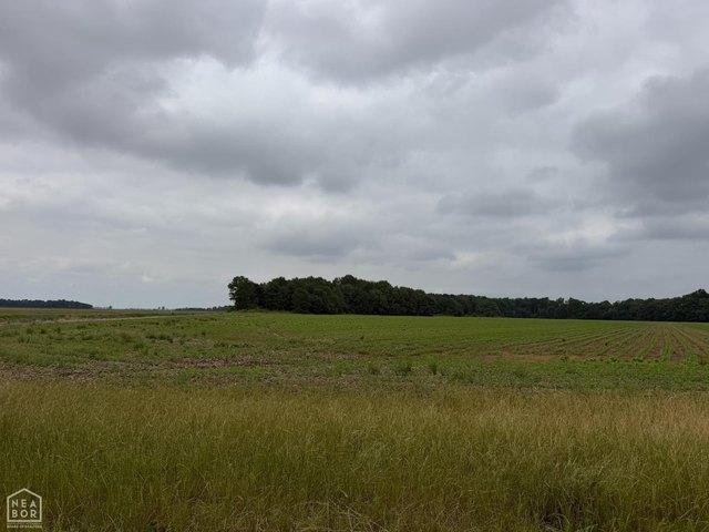 30 Big Crk, Jonesboro, AR 72404