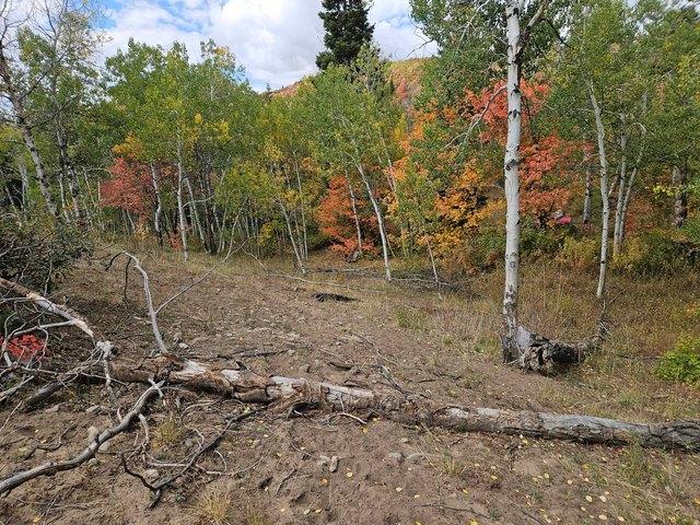 30 E Deer Valley Dr S Unit K30, Fairview, UT 84629