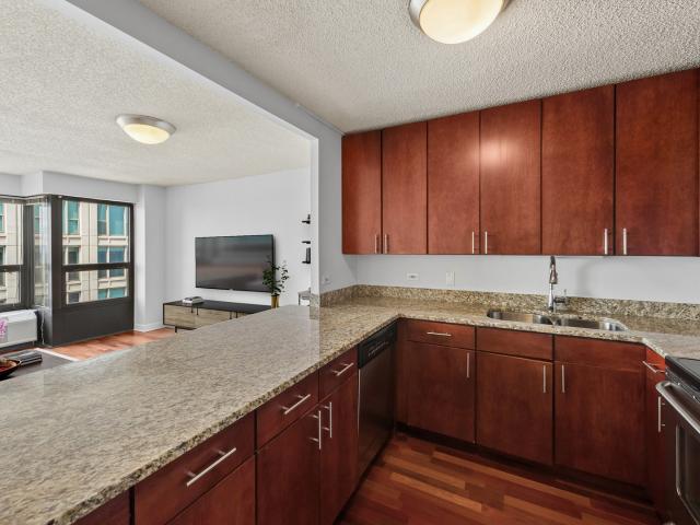 30 E Huron Street # 5306