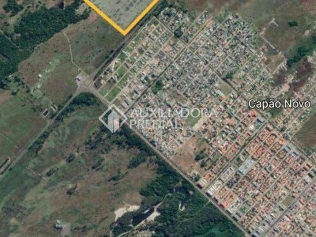 30 hectares á venda em CAPÃO NOVO para investidores