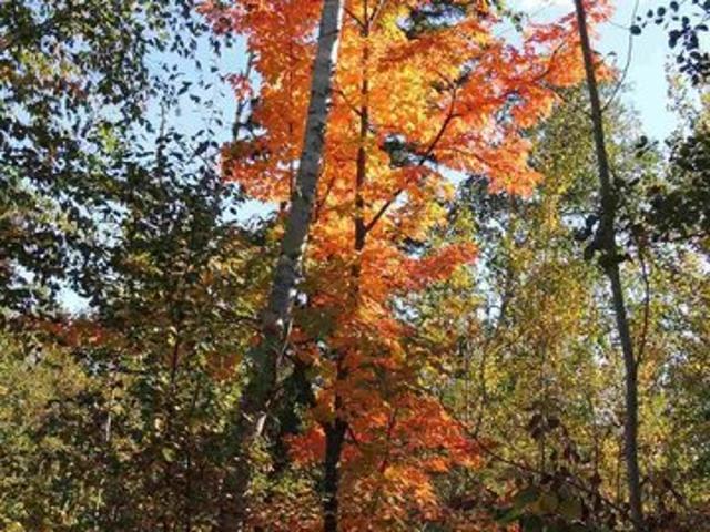 30 Isak Ridge Rd, Lutsen, MN 55612
