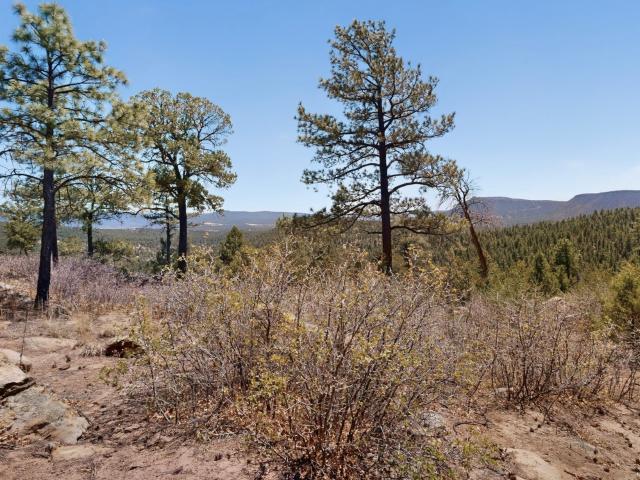 30 Monte La Cueva Road