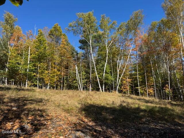 30 Mohican Trail, North Creek, NY 12853 | MLS #202527