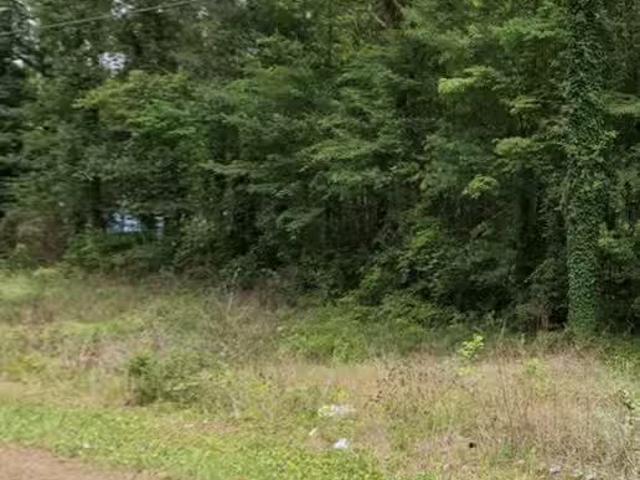 30 Roberson St, Columbia, SC 29203 MLS 591191