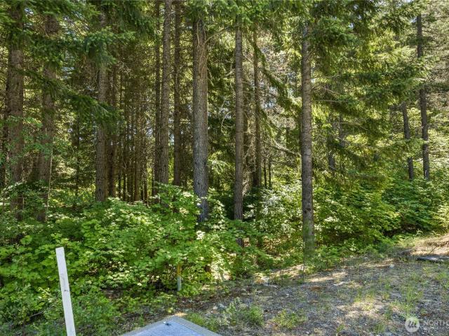 30 Scatter Creek Loop