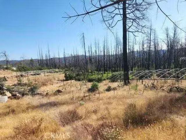 30 Simpson Ranch Road, Berry Creek, CA 95916 658240884