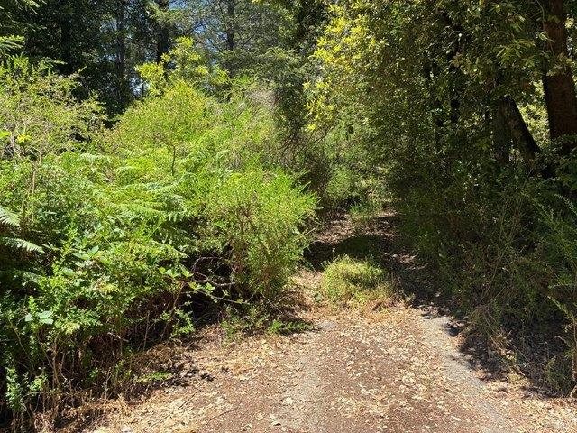 30 Sunrise Mtn, Cazadero, CA 95421