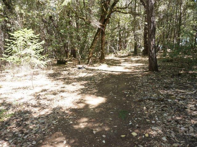 30 Suzy Q Rd, Salyer, CA 95563 | MLS #23 4767