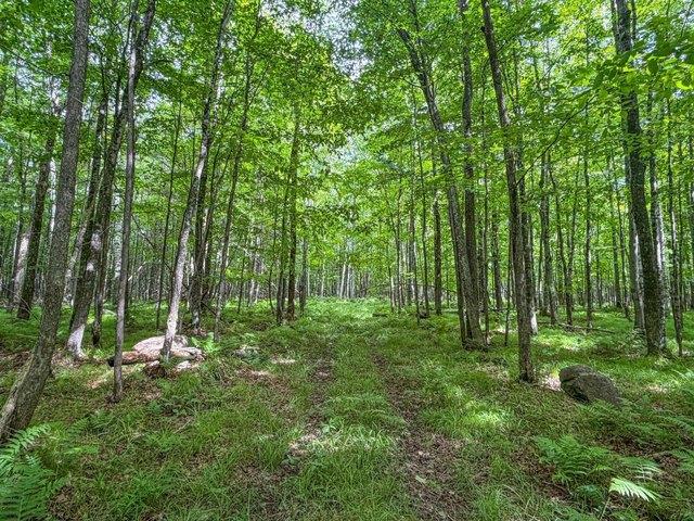 30A E Dover Rd, Phillips, WI 54555